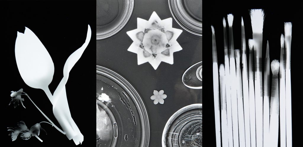 photogram – CSIBELLOW